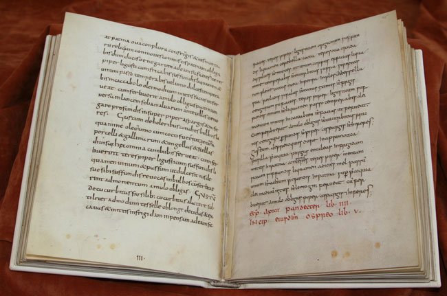 ¿Sabes quién escribió Apicius el primer libro de cocina?